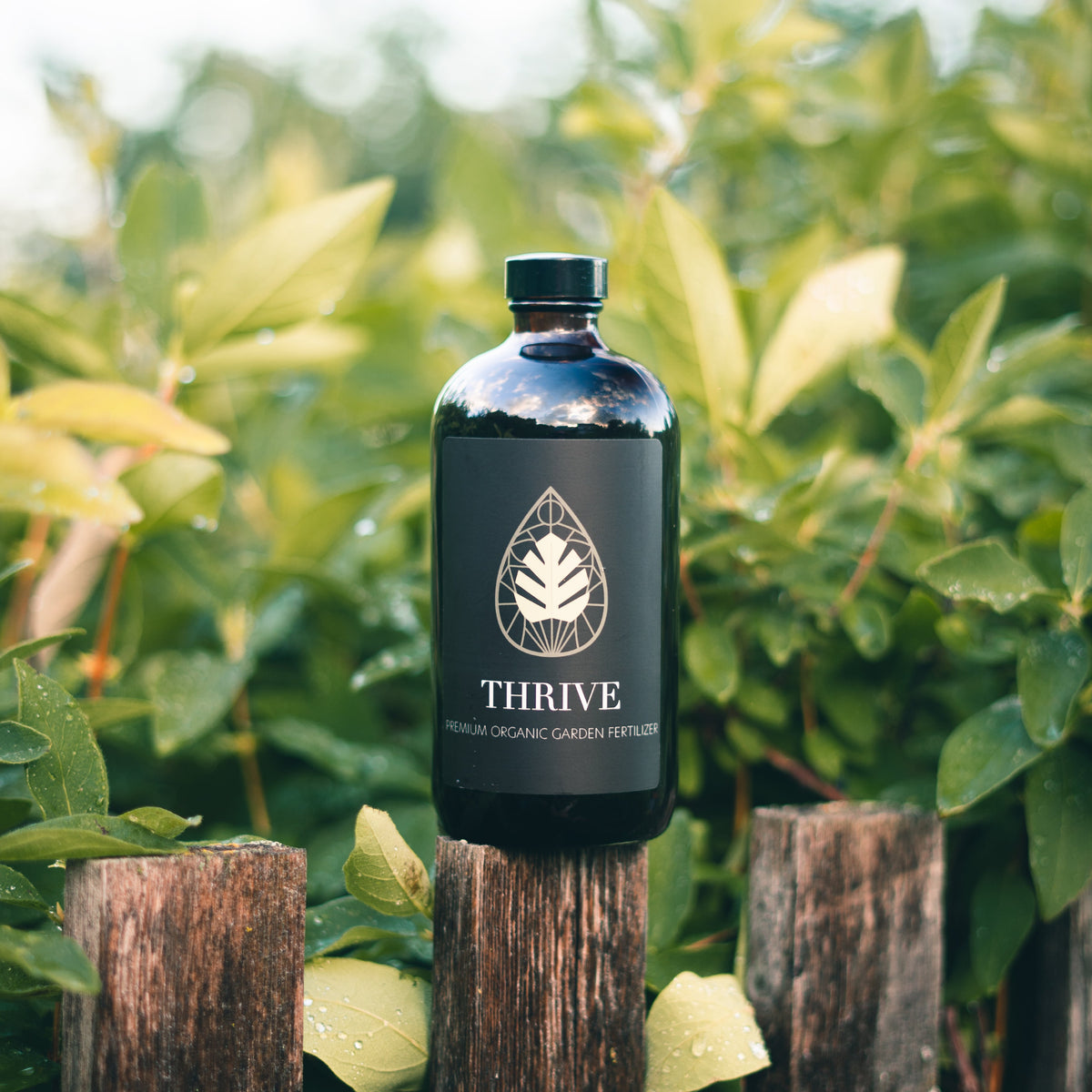 Thrive Garden + – Plant Vitamins